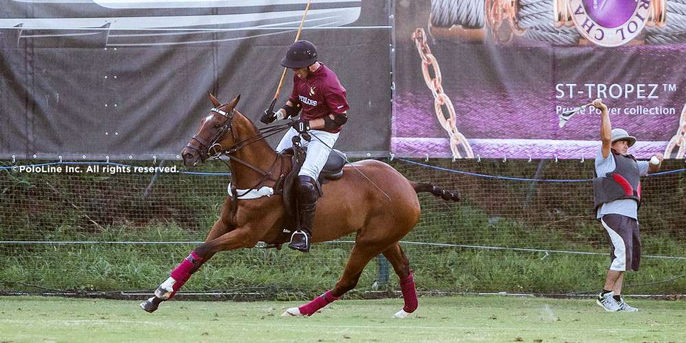 Pololine | Marquard Media on the winning path; Jota Chavanne shines for ...