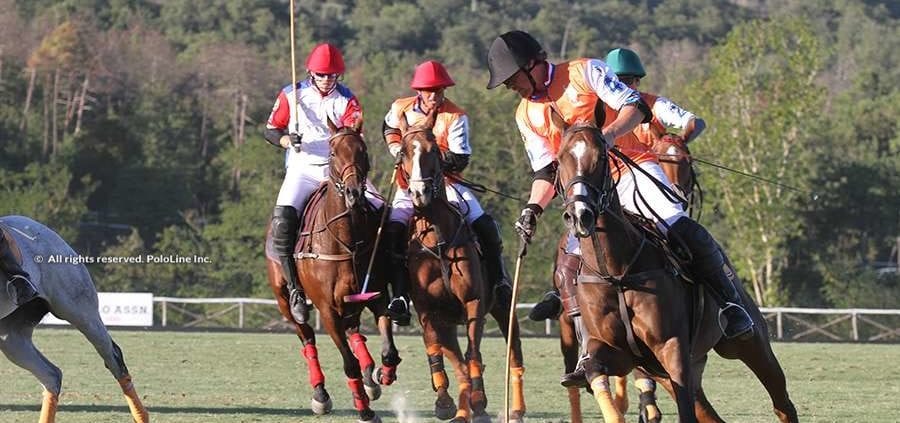 Pololine | European Polo Championship Day 5: Ireland & Netherlands take ...