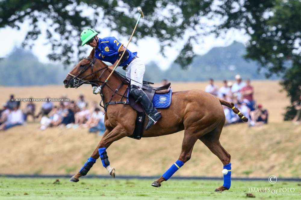 Pololine | Players to follow in the upcoming seasons