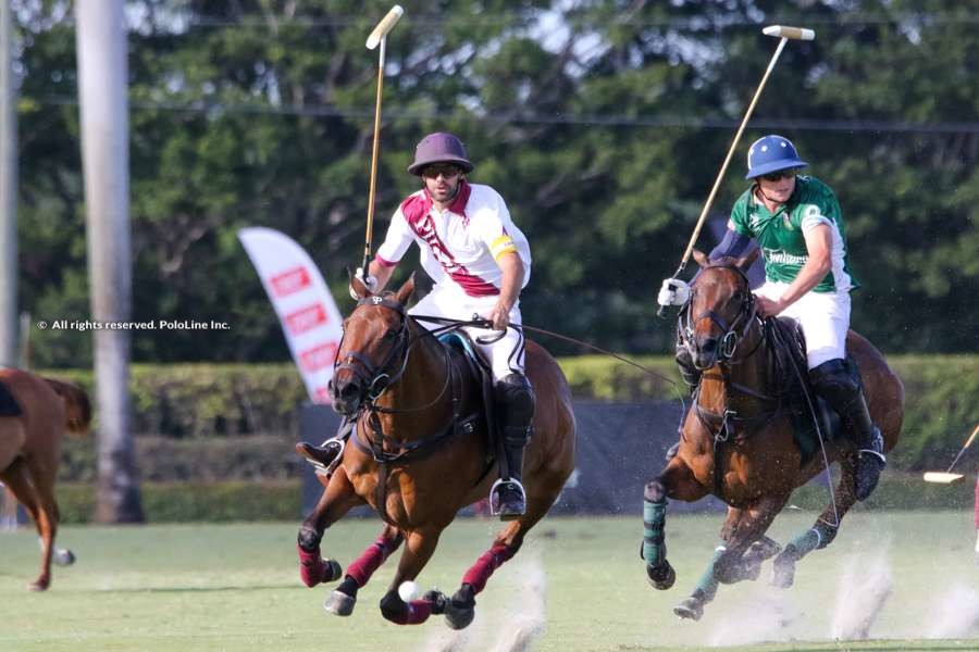 Pololine | United States Polo Association and International Polo Club ...