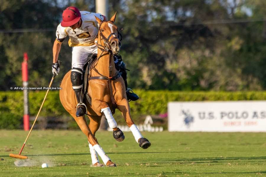 Pololine | "Polo in the US is doing very well; there are a lot of ...