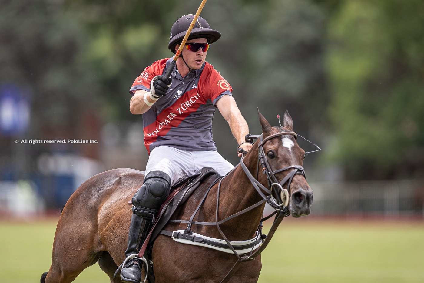 Pololine | Polo Park Zurich, décimo equipo confirmado para la POLO ...