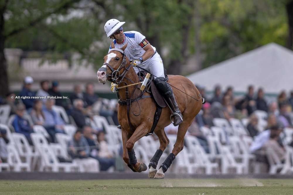 Pololine | "I will be 100% for Palermo"
