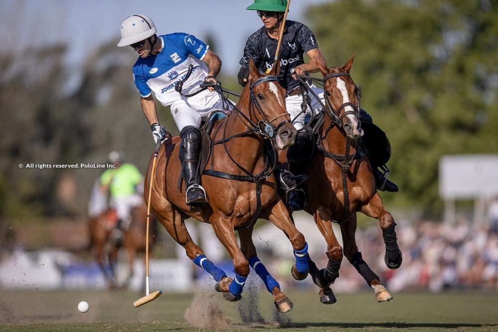 Pololine | "The aim was to make it to the final and we made it"