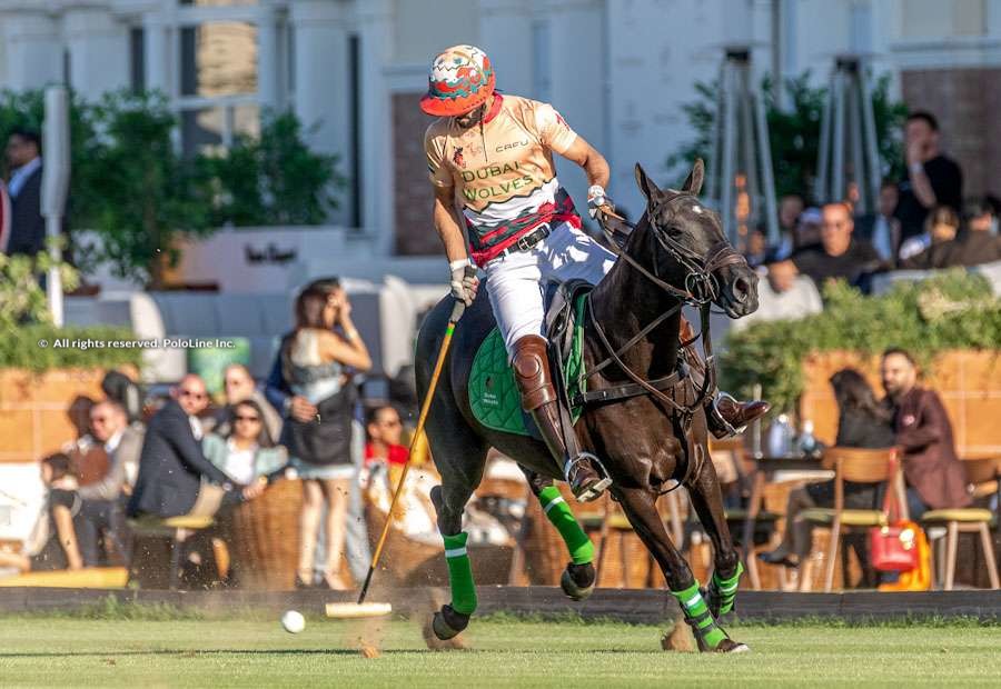 Pololine | Gold Cup, last league games; WATCH LIVE ON POLOLINE TV