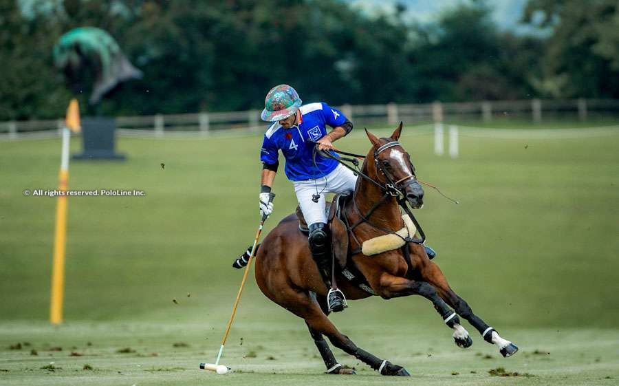 Pololine | Home