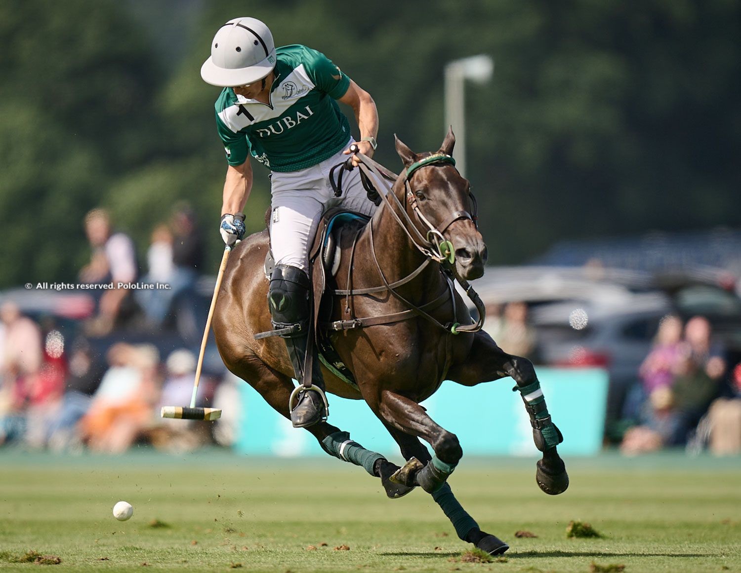 Pololine | Home