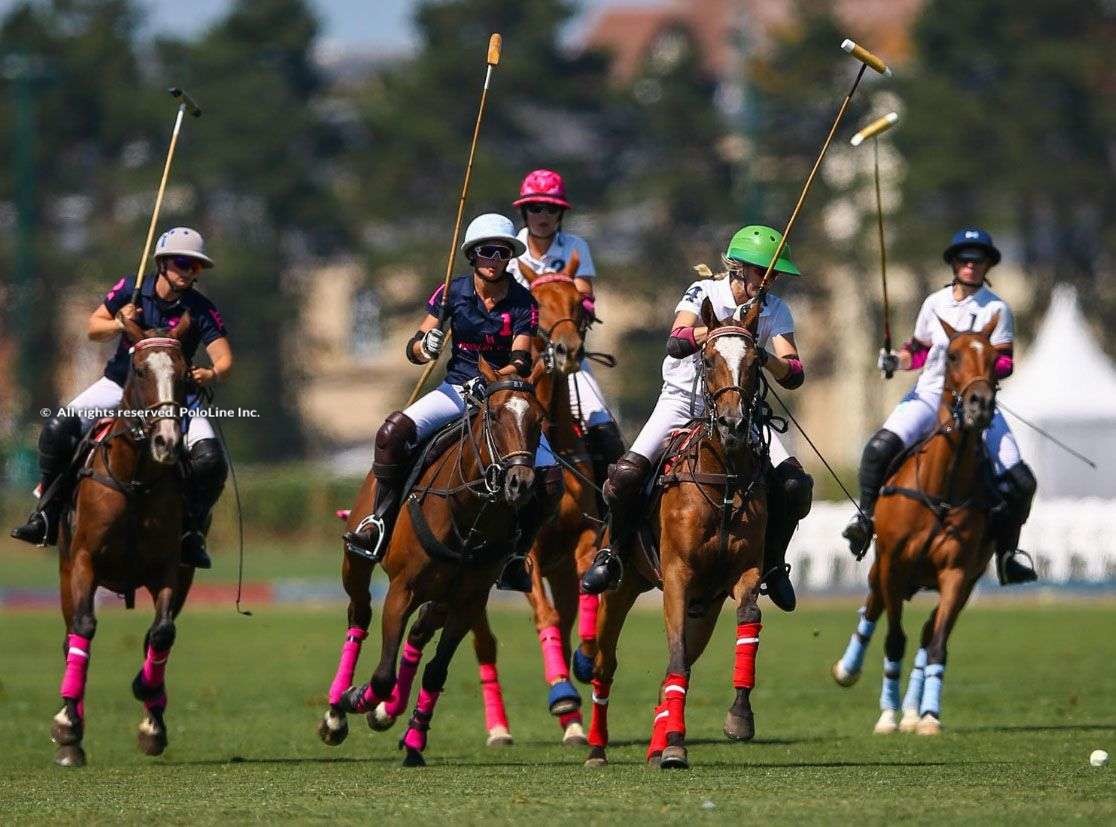 Pololine | Home