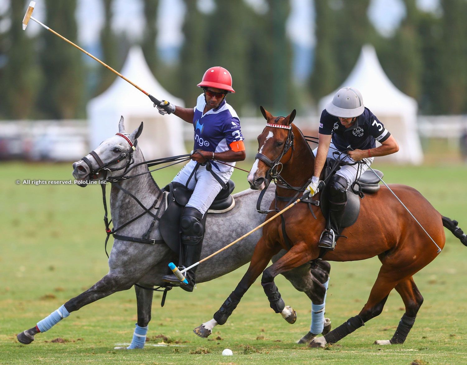 Pololine | Brittany & Talandracas victorious in the Coupe d'Or; Coupe ...