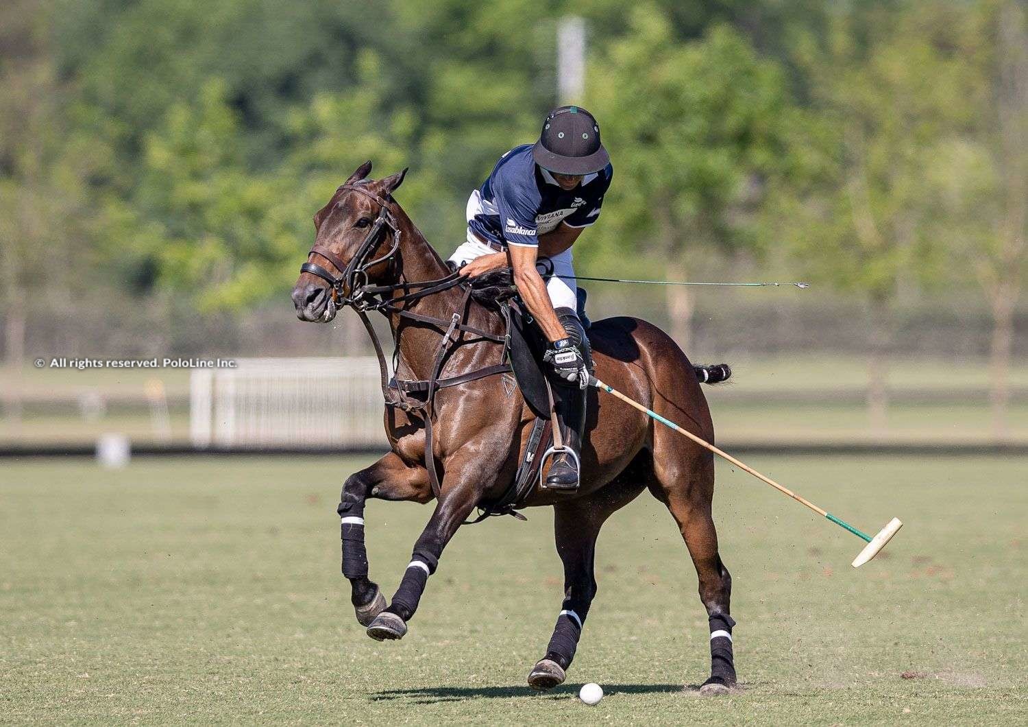 Pololine | Home