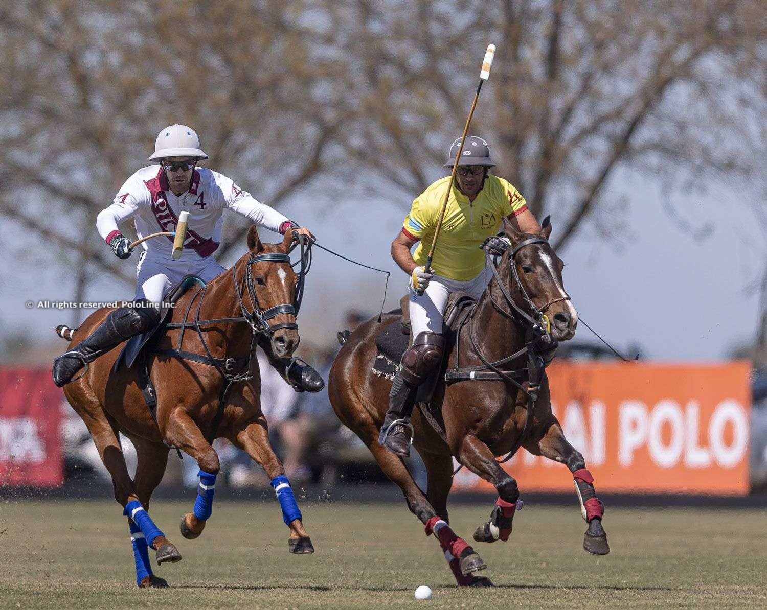 Pololine | Ellerstina Pilot, La Dolfina & Scone victorious in the ...