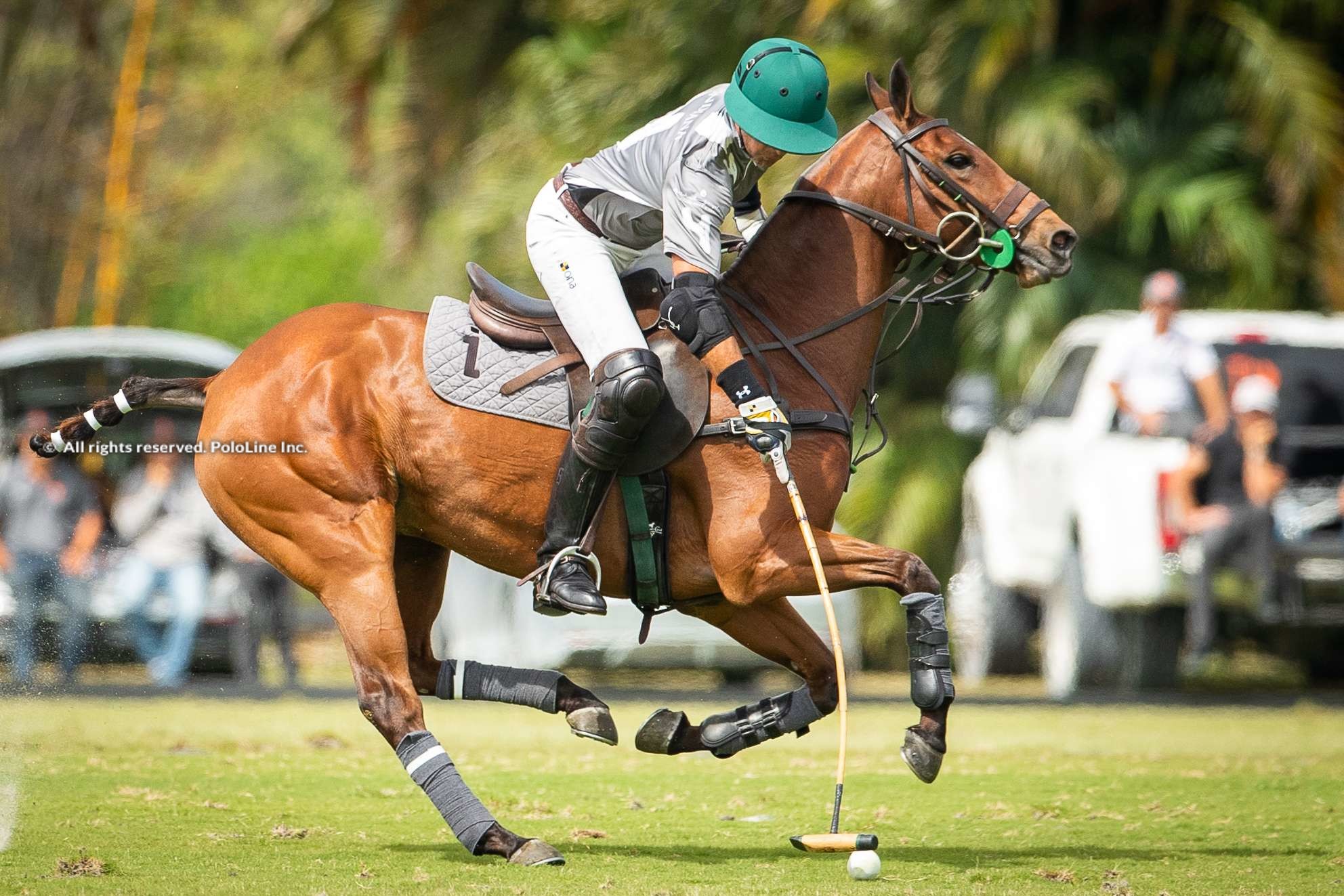 Pololine | Home