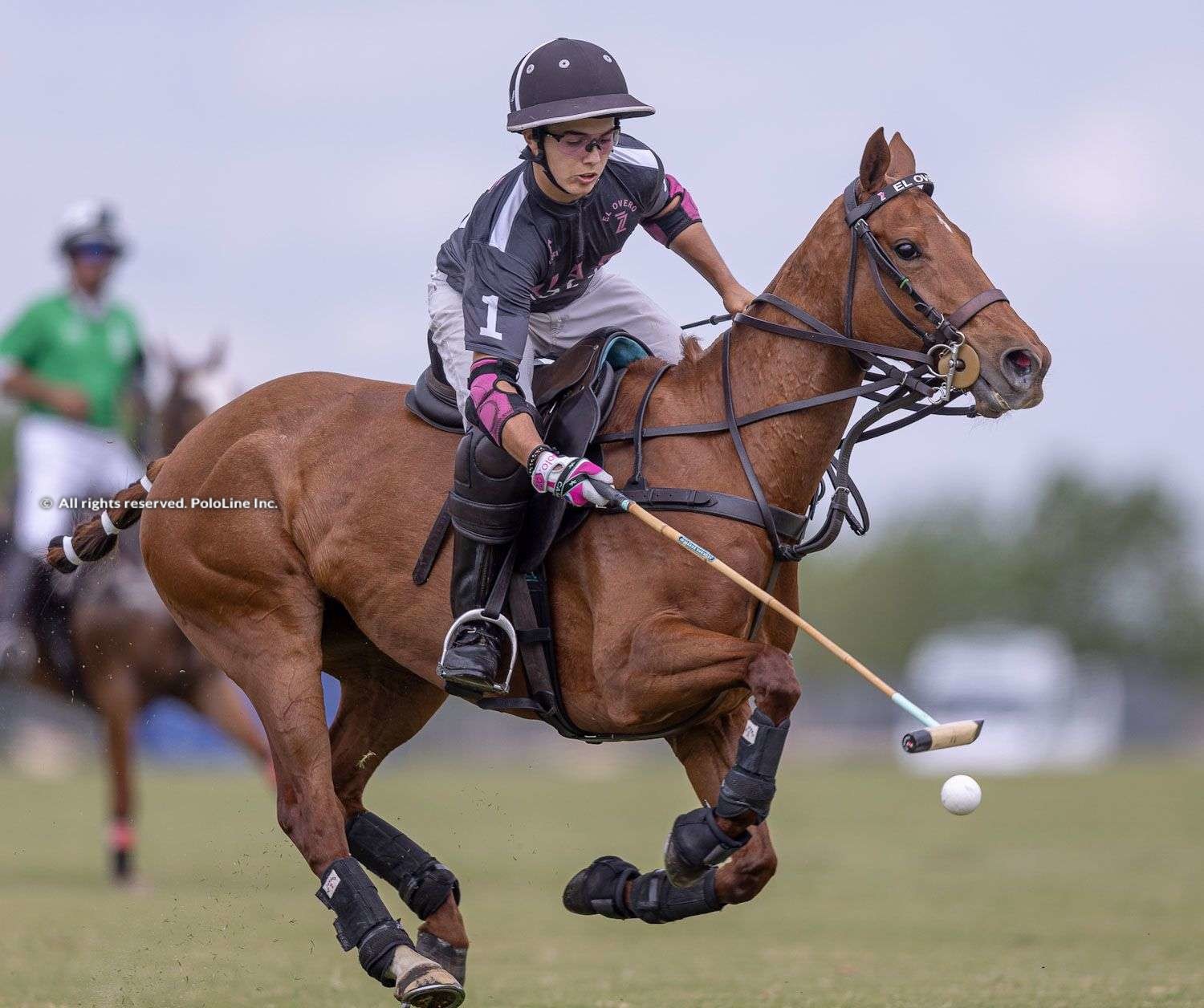 Pololine | El lunes y martes se conocerán los dos clasificados para ... Pololine | El lunes y martes se conocerán los dos clasificados para ...