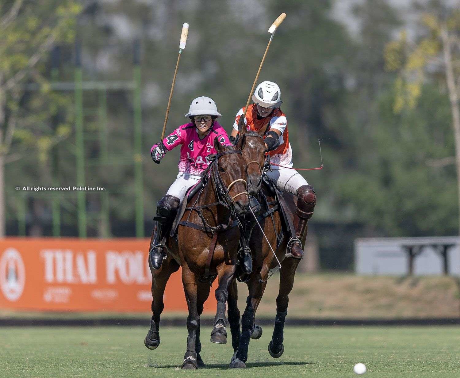Pololine | The Pink Polo: Action begins at Thai Polo Club Argentina