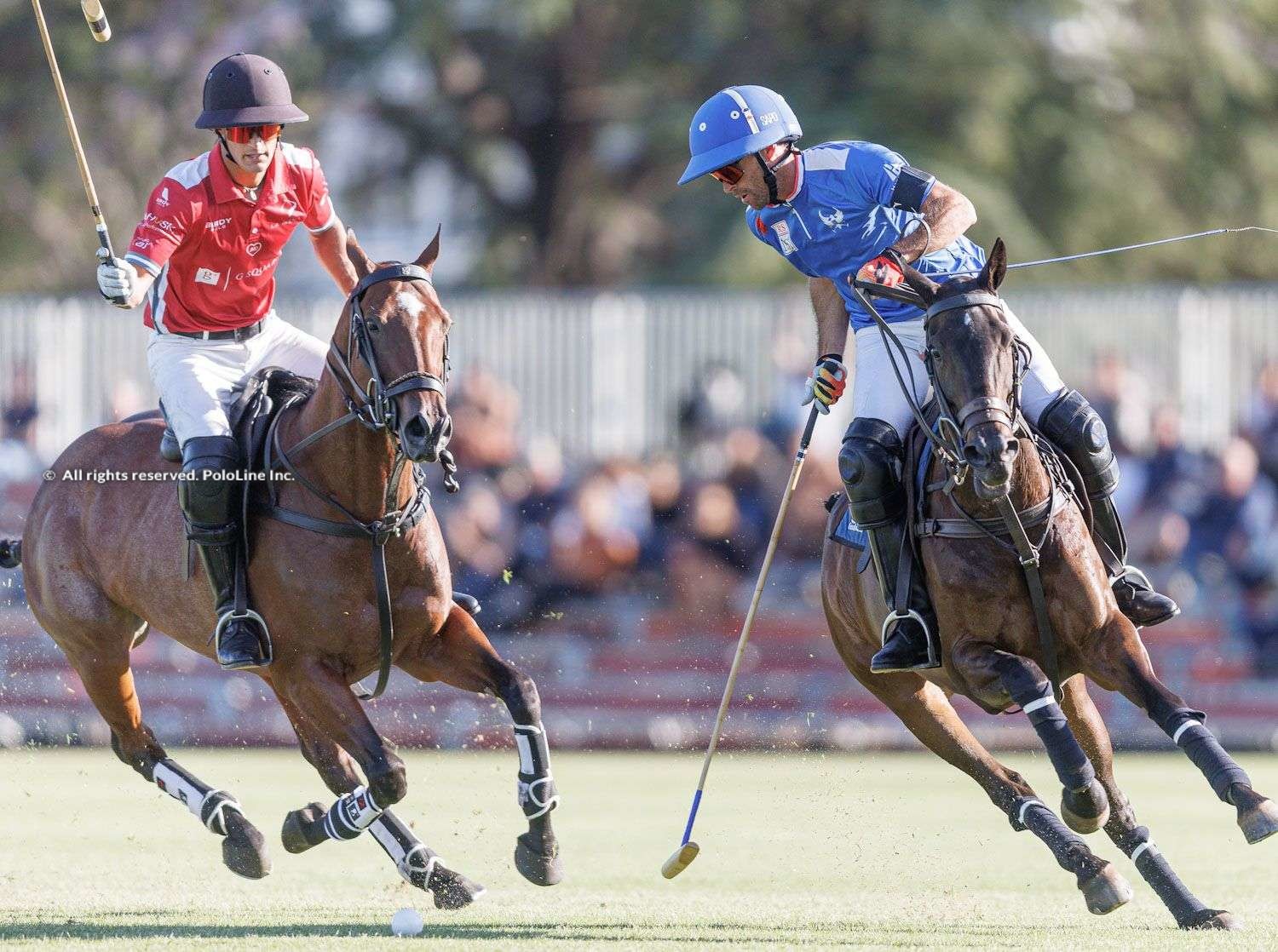 Pololine | 129th. Argentine Open: Opening wins for La Irenita Grand ...