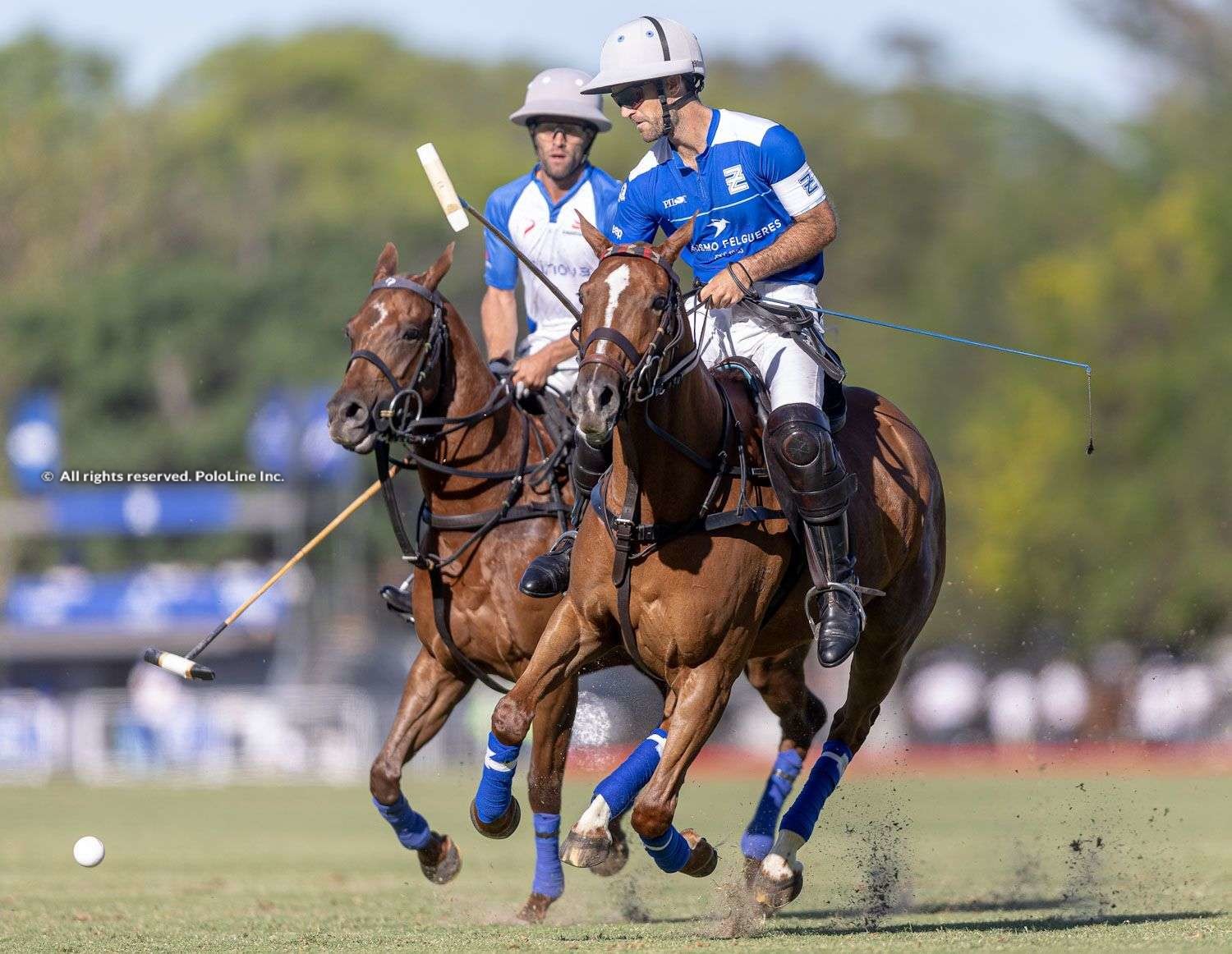 Pololine | 129° Abierto Argentino: Victoria de Cría La Dolfina; exitoso ...