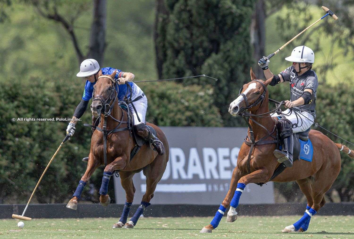 Pololine | Thai Polo Cup: Lavinia & Altamira qualify for the final ...
