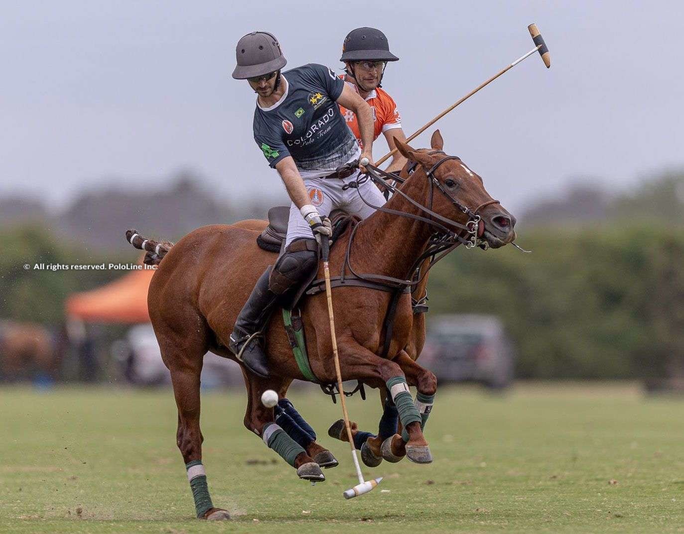 Pololine | Thai Polo Cup semifinals due on Tuesday; WATCH LIVE ON ...