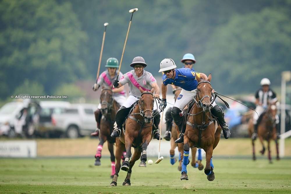 Pololine | 2023 English High Goal: Teams, tournaments and facts that ...
