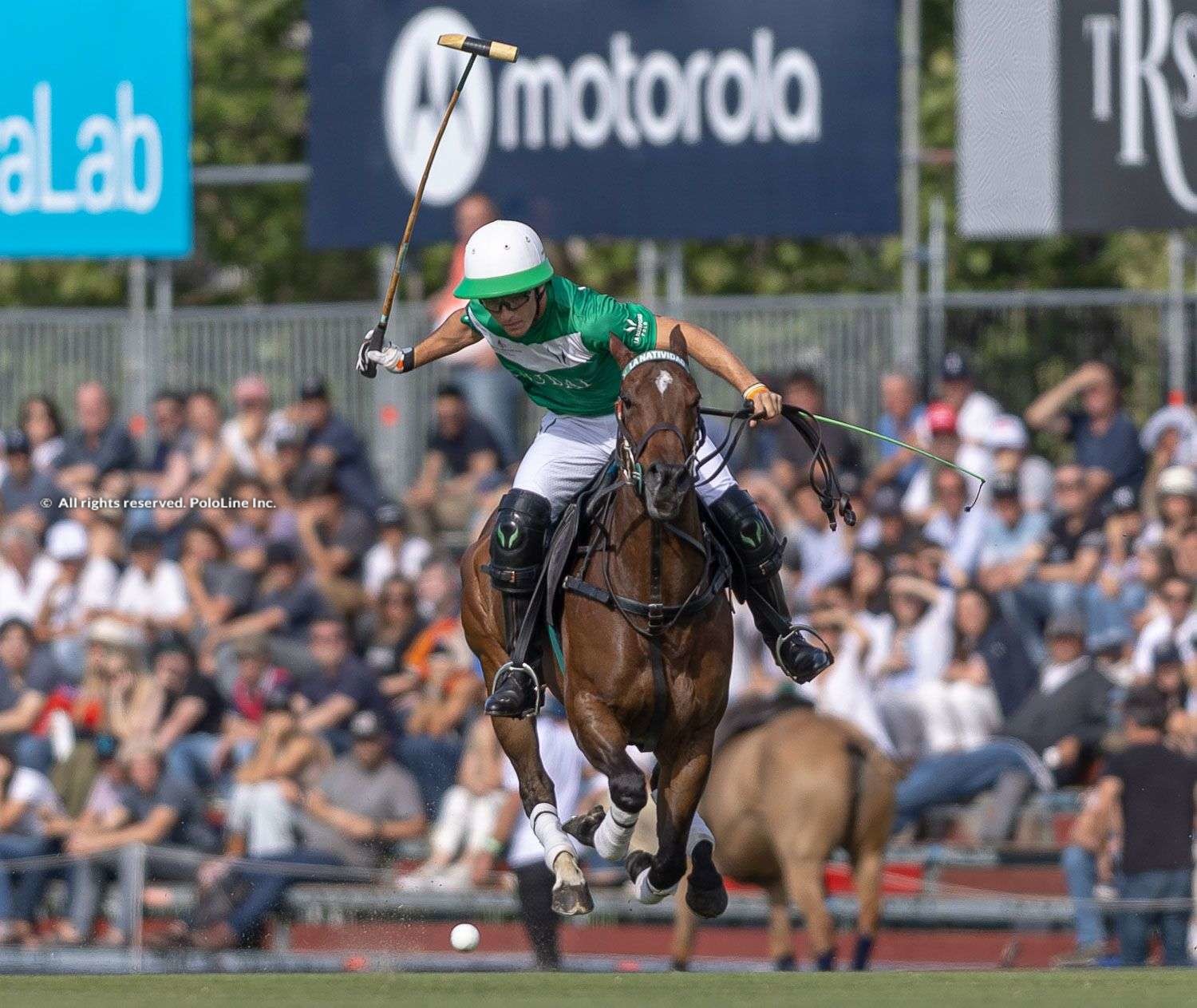 Pololine | The Tortugas Open resumes on the weekend