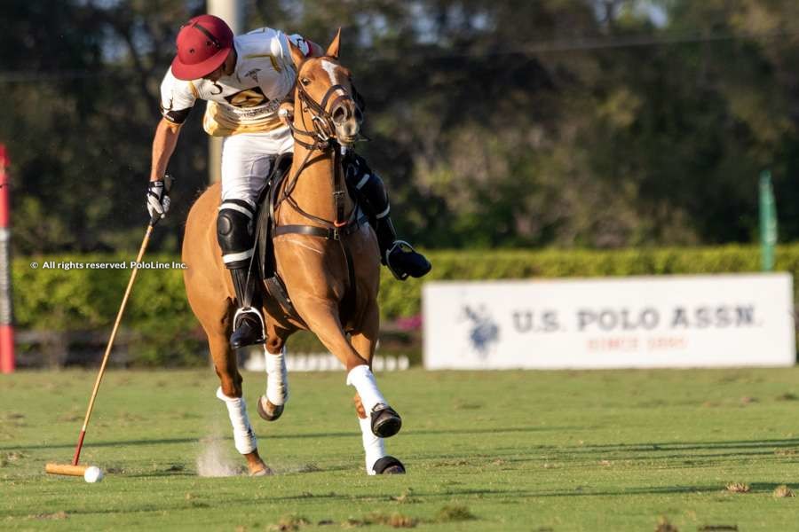 Pololine | Joe Barry Memorial Cup: Se viene la última tanda clasificatoria