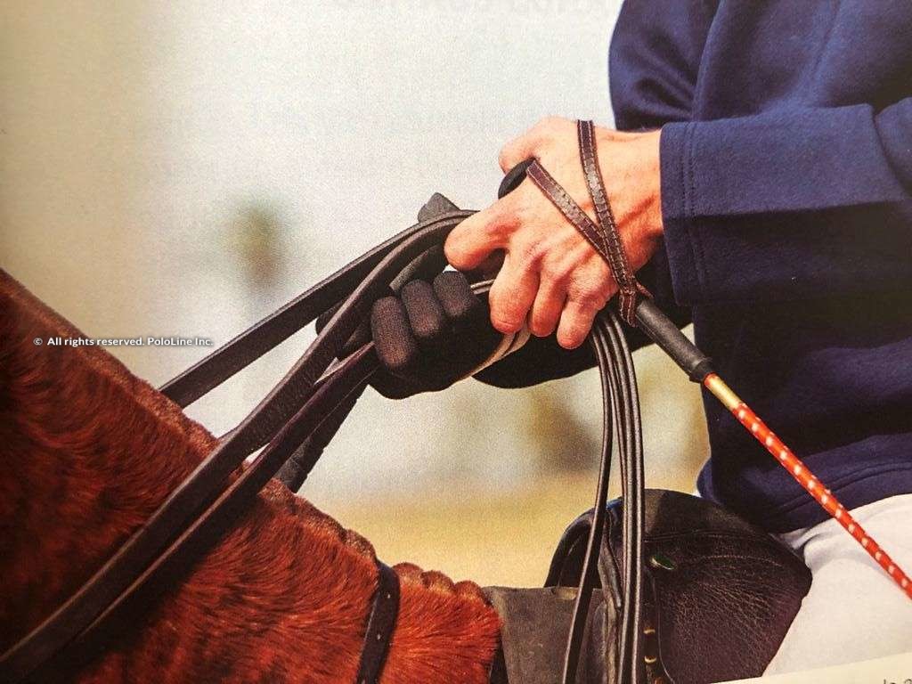 Pololine | Using both hands in riding a horse