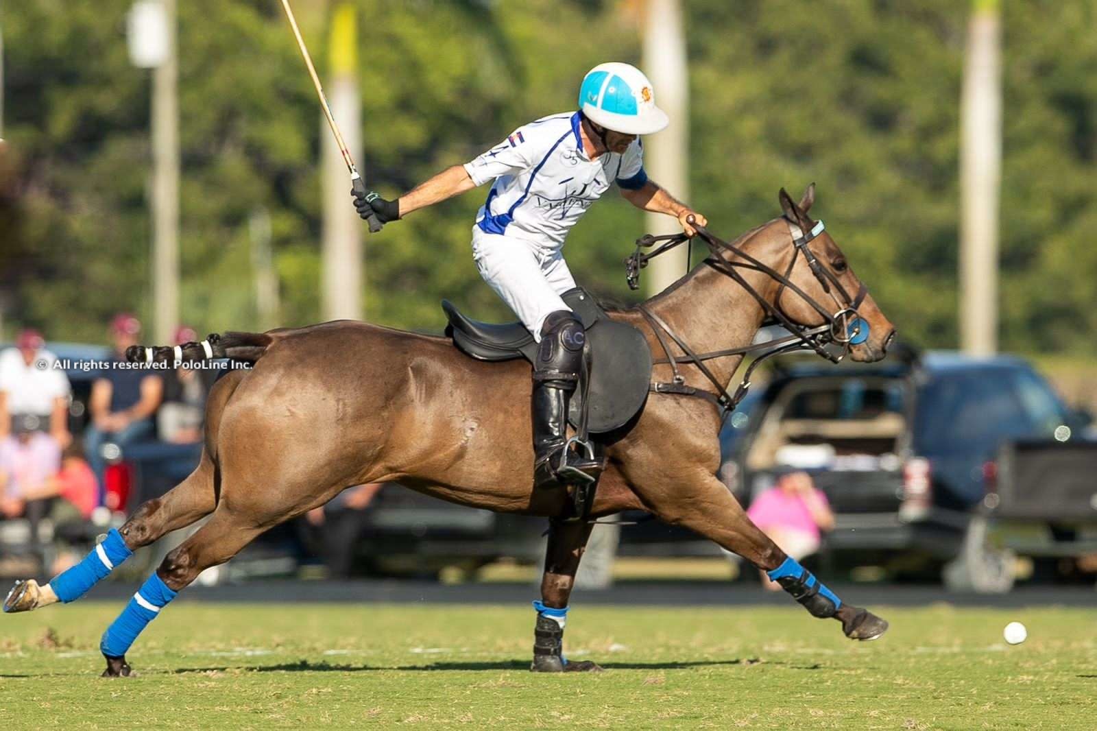 Pololine | Home