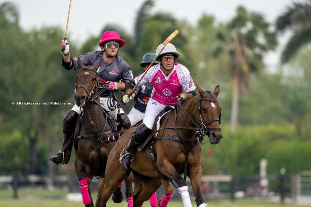 Pololine | World Polo League Kicks Off Sixth Season Saturday With All ...