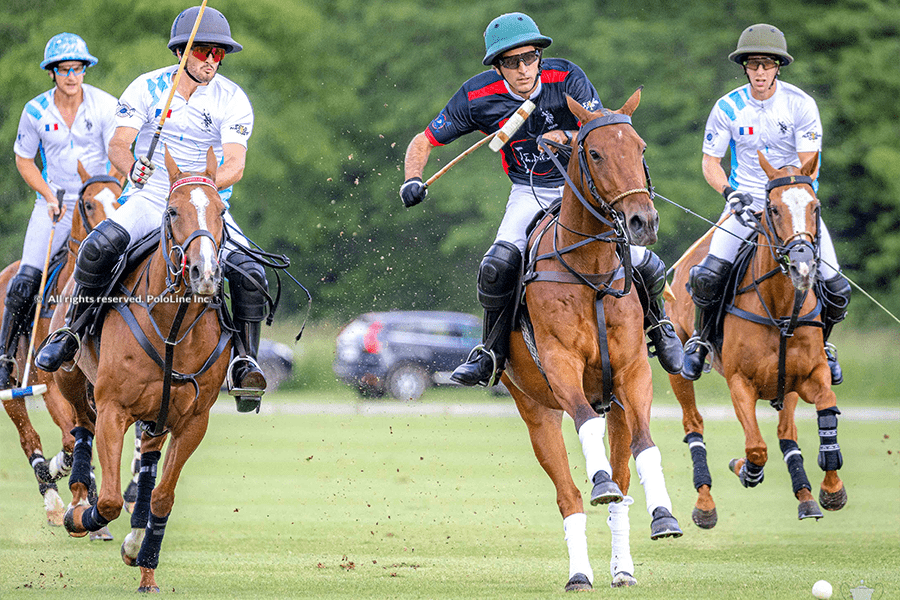 Pololine | Quedan los últimos cuatro