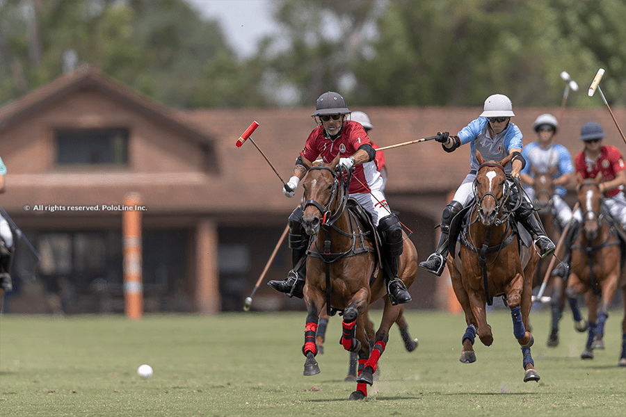 Pololine | Home