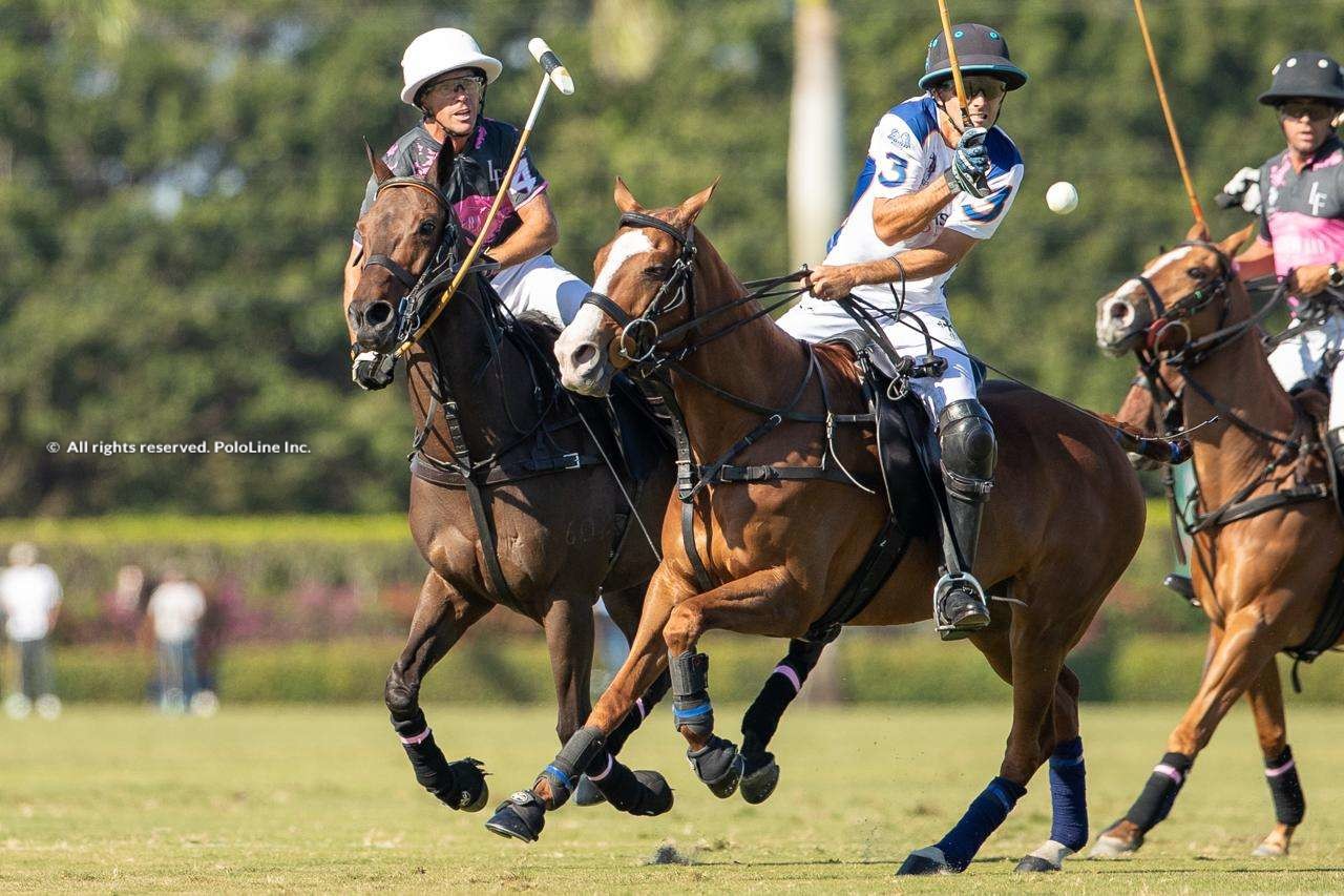 Pololine | La Dolfina Catamount, Clearwater y Brookshire los primeros ...