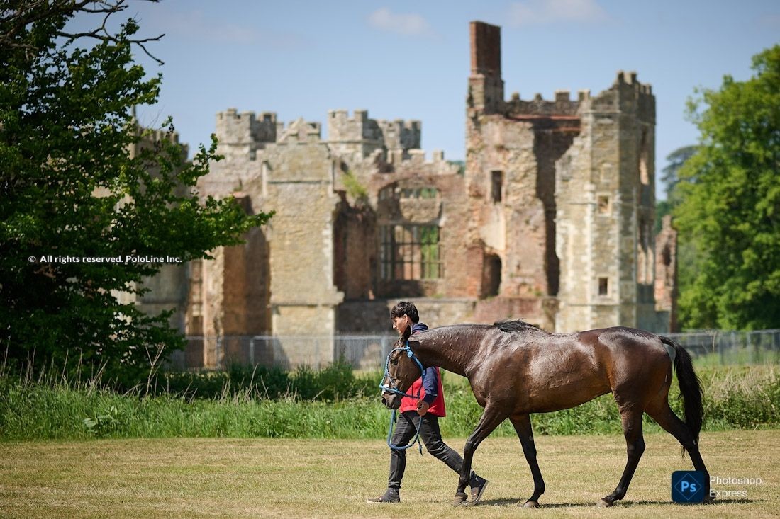 Pololine | Ferne Park y Maíz Dulce definen la Dollar Cup, en Cowdray Park, con la TRANSMISIÓN EN ...