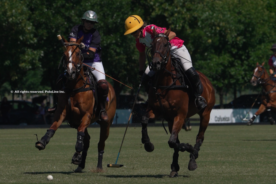 Pololine | 9º Abierto Argentino de Polo: La Dolfina y El Overo Z7 UAE ...